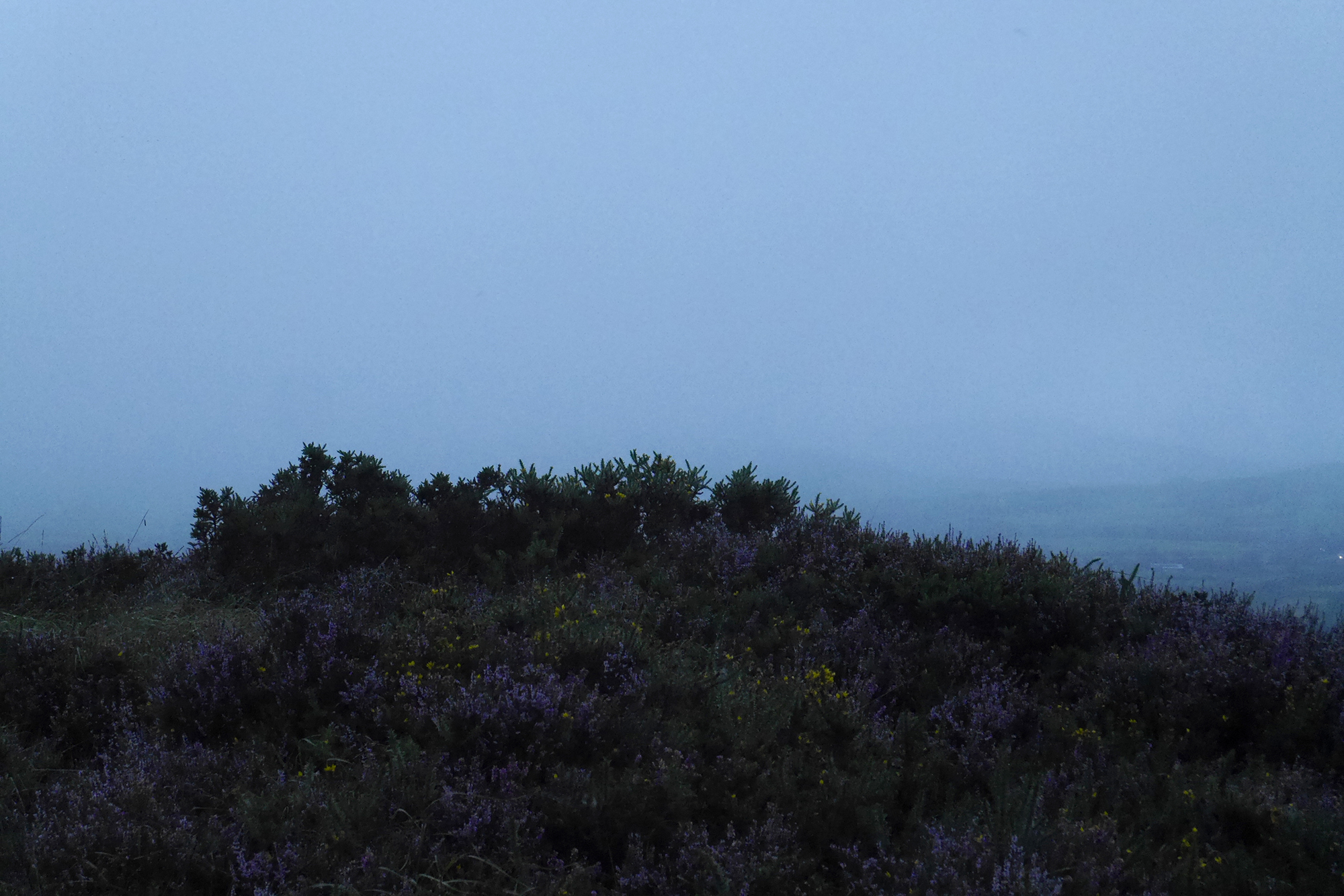 Tomorrow is Sunday | Miriam O' Connor