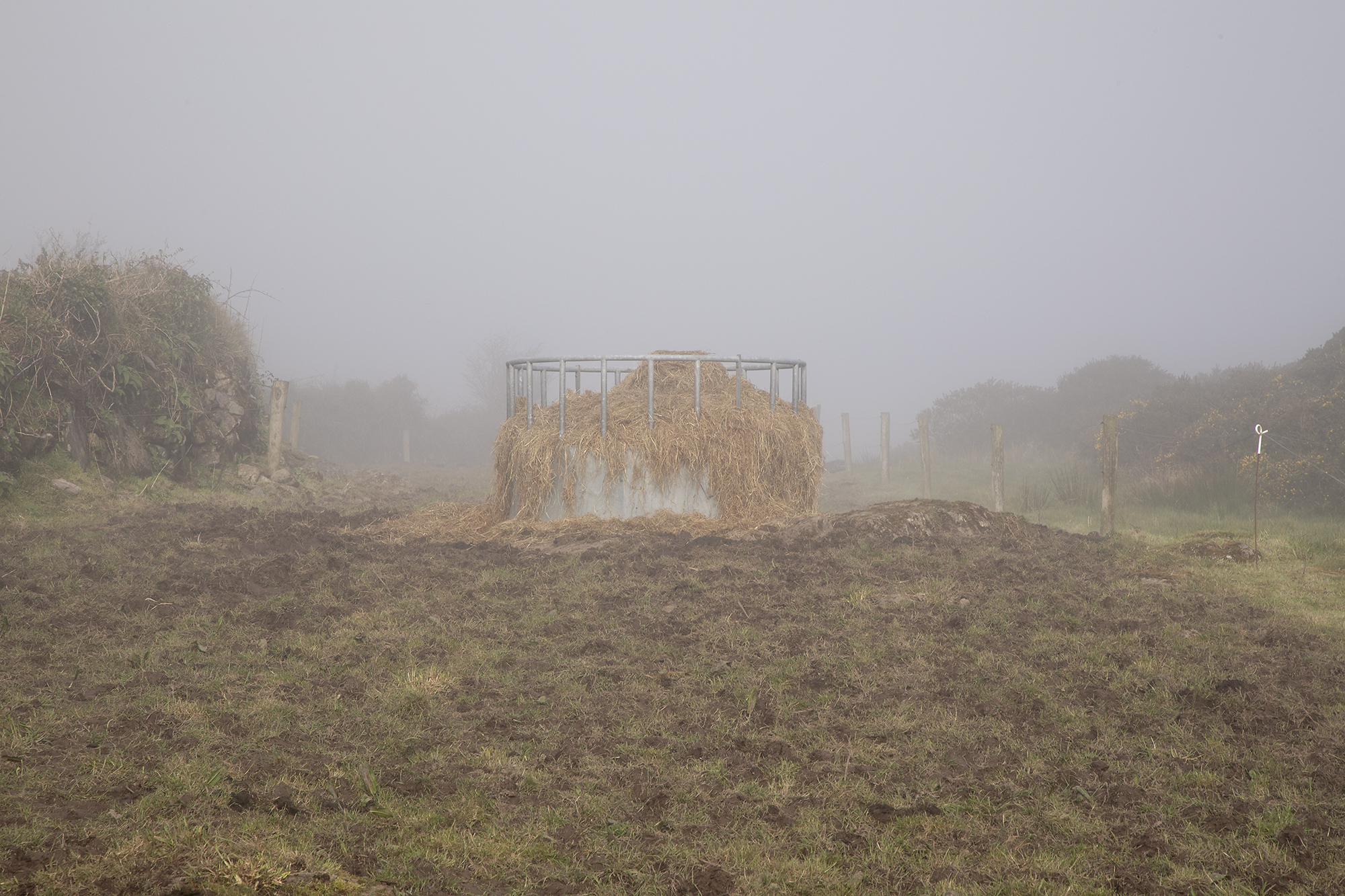 Tomorrow is Sunday | Miriam O' Connor