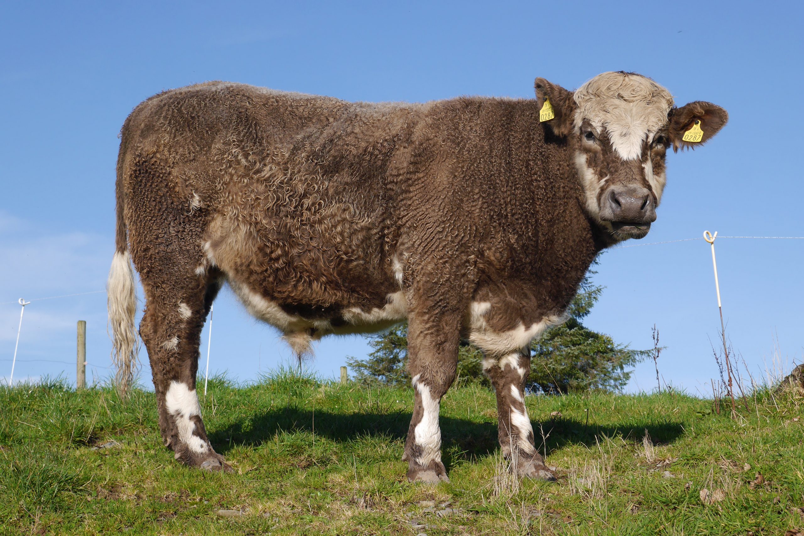 Tomorrow is Sunday | Miriam O' Connor