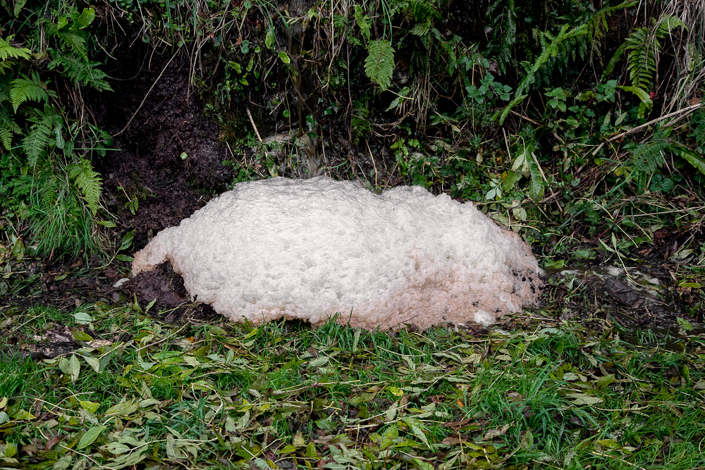 Tomorrow is Sunday | Miriam O' Connor