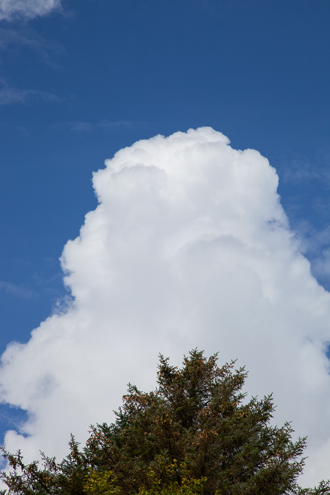 Tomorrow is Sunday | Miriam O' Connor